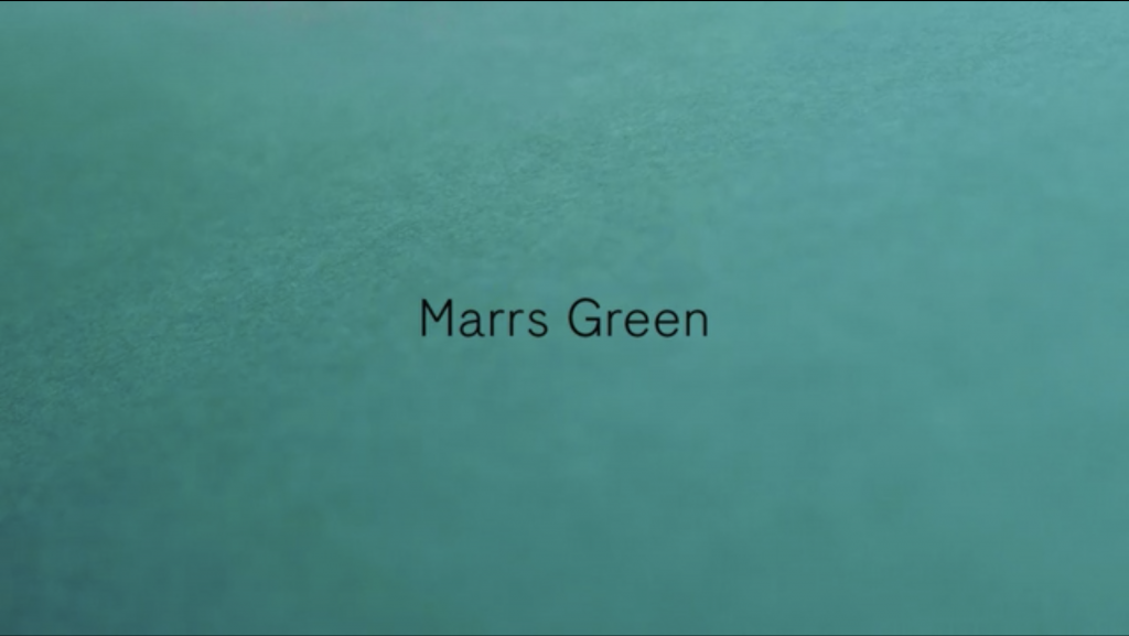 Marrs Green: The World's Most Favorite Color | MyBoysen