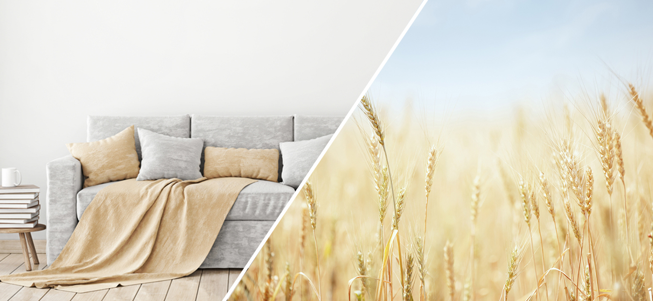 Use the Neutral Shades of Nature as Inspiration for Your Home Colors