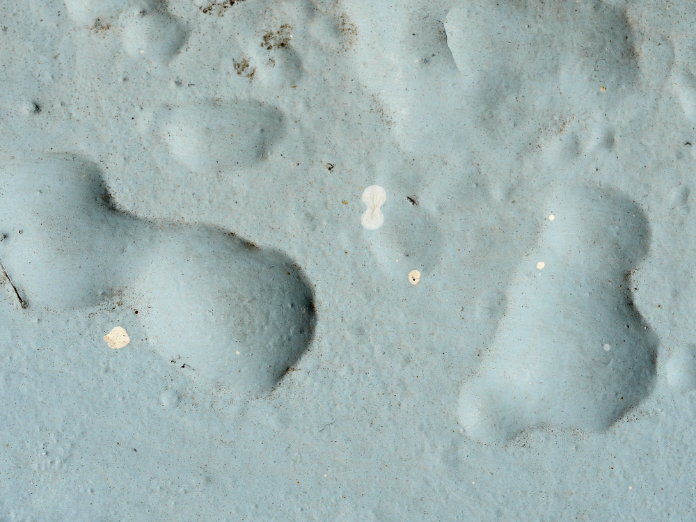 Common Painting Problems: What is Blistering?