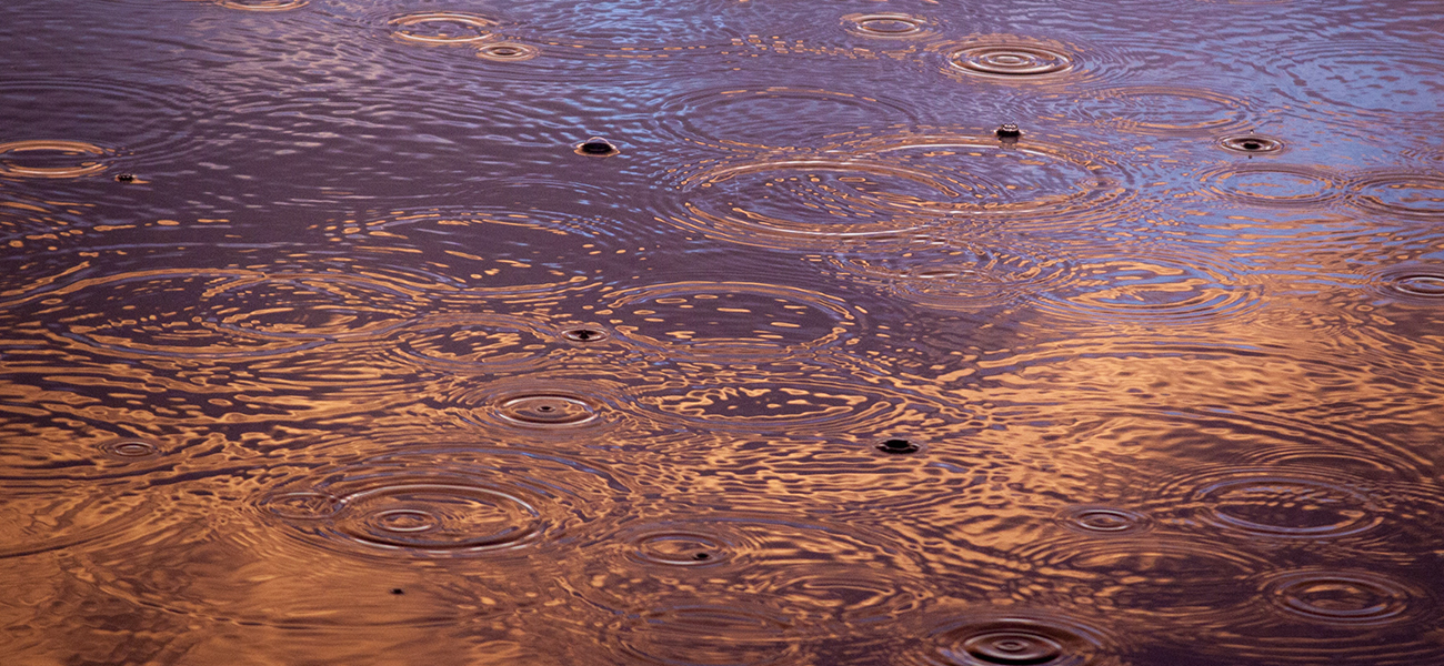 Take This Quiz and Get a Cozy Rainy Day Color Palette | MyBoysen