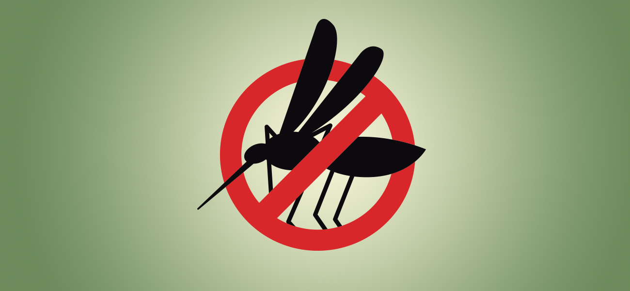 No to Dengue! This Paint Can Help Keep Mosquitoes Away | MyBoysen