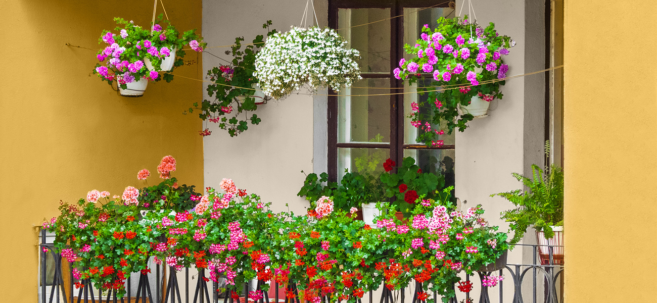 Get the Energy of the MOVE Palette in Your Exterior Spaces | MyBoysen