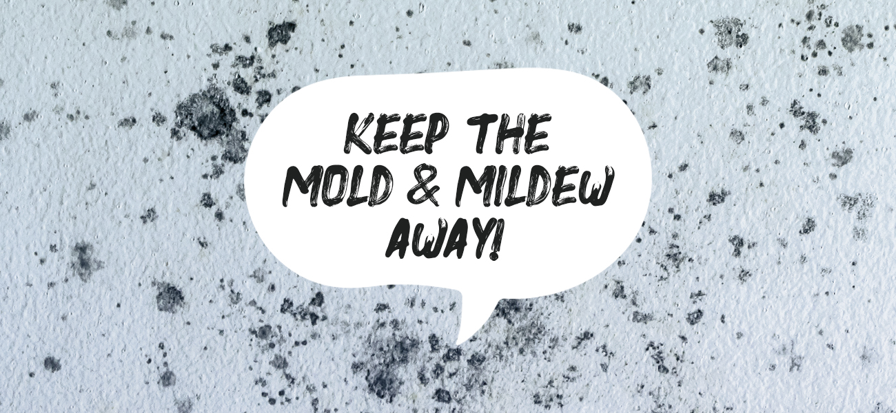 Boysen Paint Products to Help Keep Mold and Mildew Away | MyBoysen