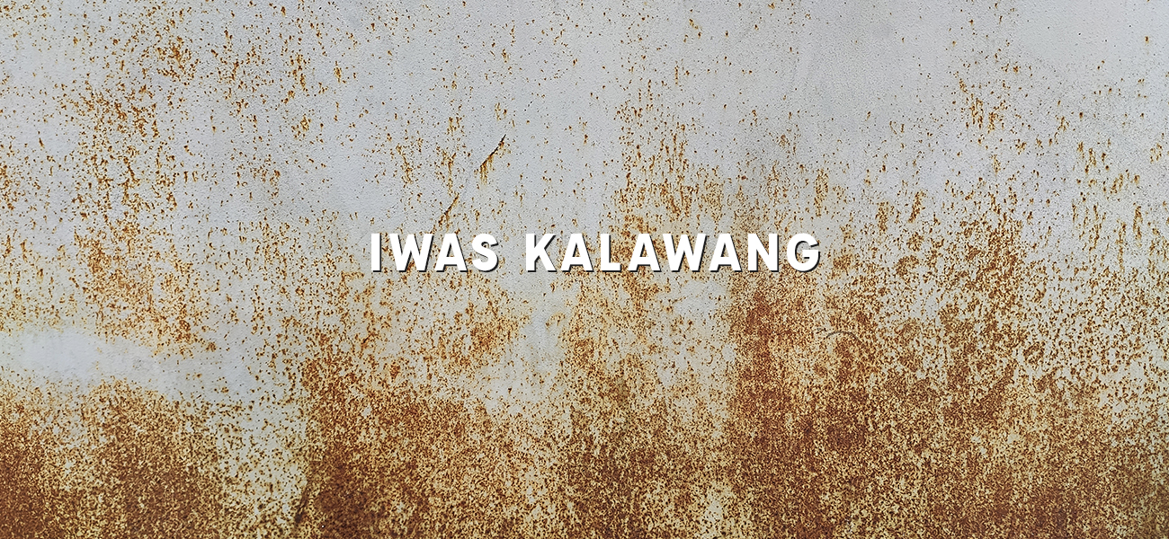 Boysen Color Trends to Help You Choose Paint Colors for Your Homes