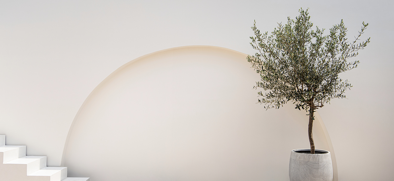 Paint Color Fading Already? Here’s Why and What to Do About It | MyBoysen