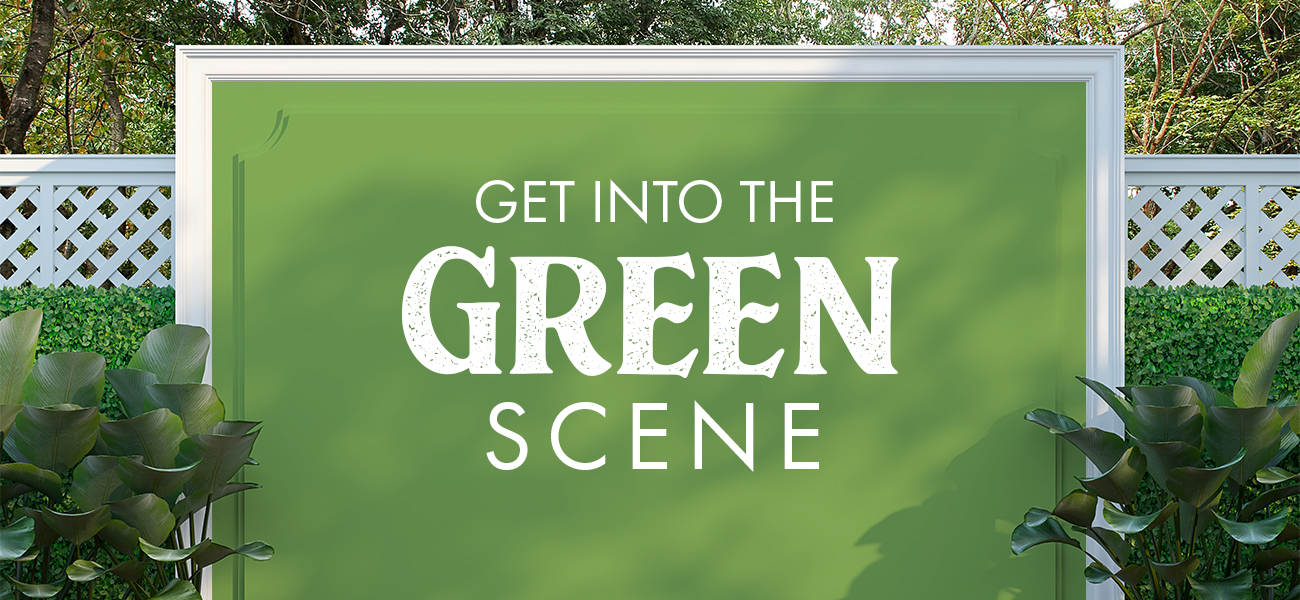 Get Into The Green Scene | MyBoysen